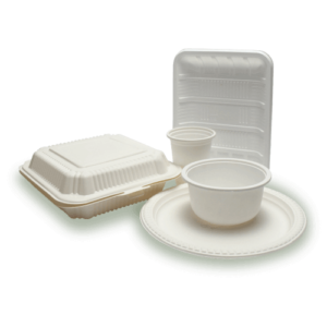 Bioworld – Desechables Biodegradables